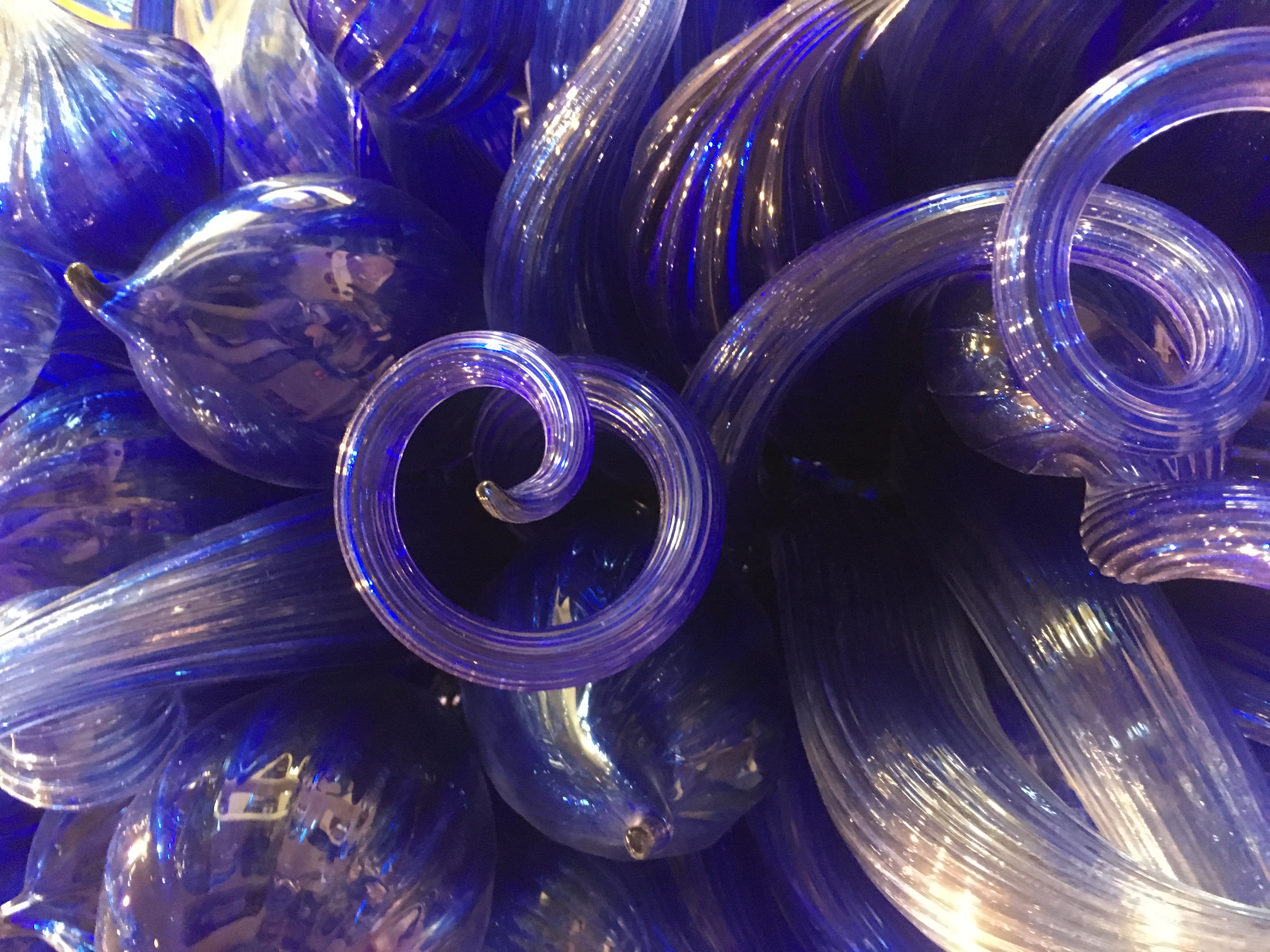 Behind the Scenes in Conservation: Cleaning the Chihuly - Cincinnati ...