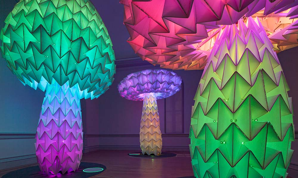 No Spectators: The Art of Burning Man - Cincinnati Art Museum