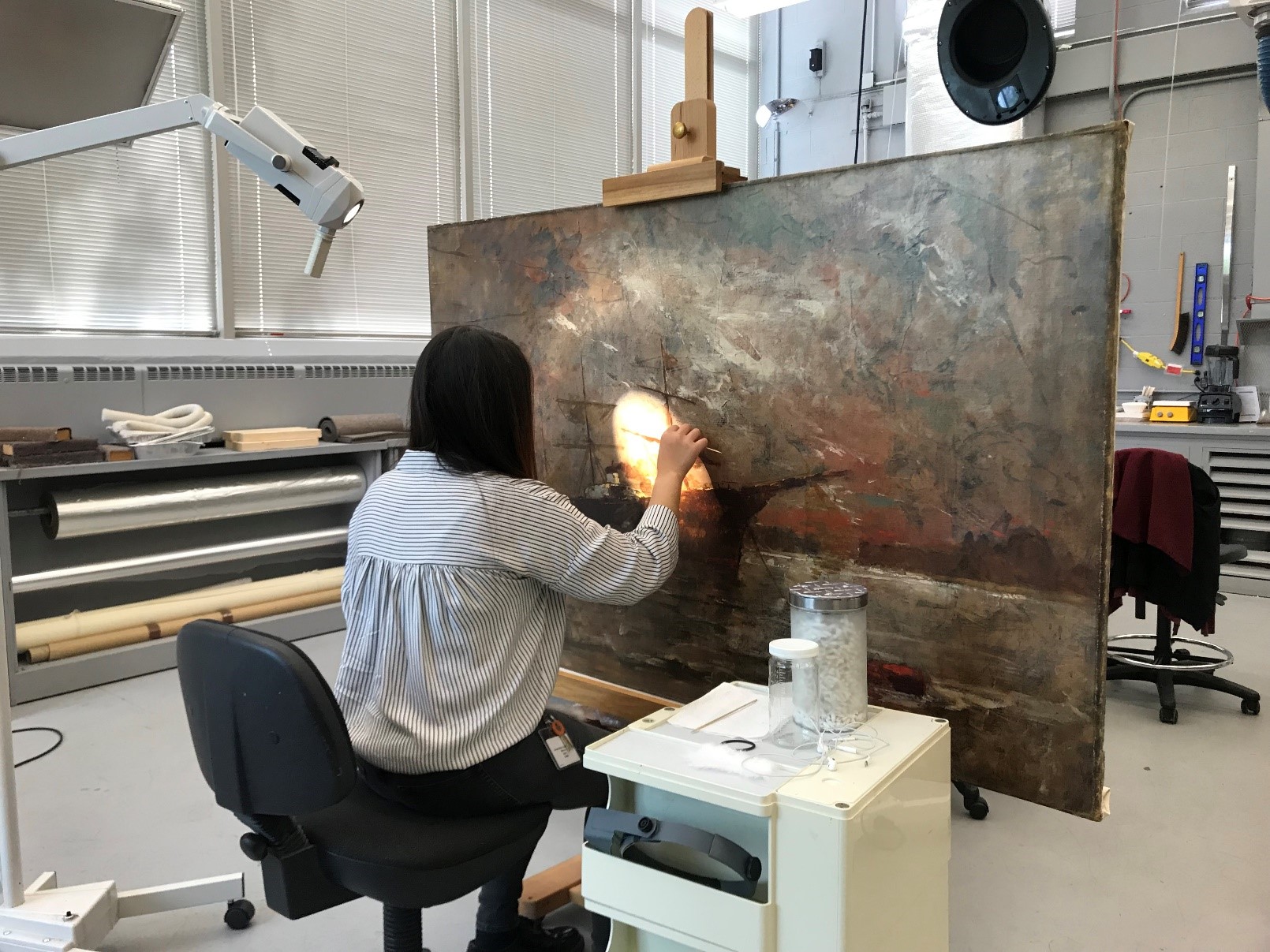 Behind the Scenes in Conservation: An Intern’s Experience - Cincinnati ...