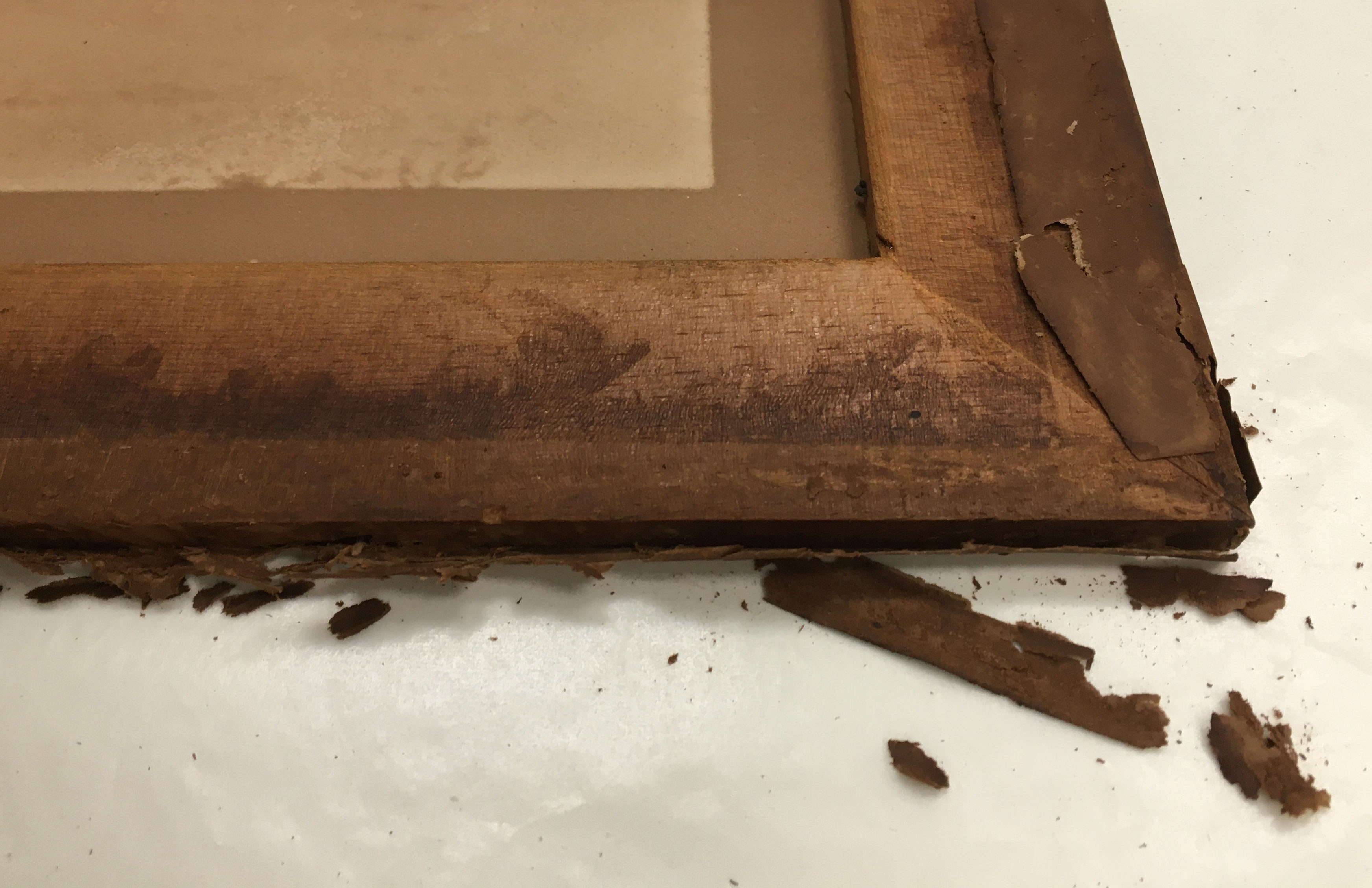 Behind the Scenes in Conservation: Meet Dr. Johnson - Cincinnati Art Museum