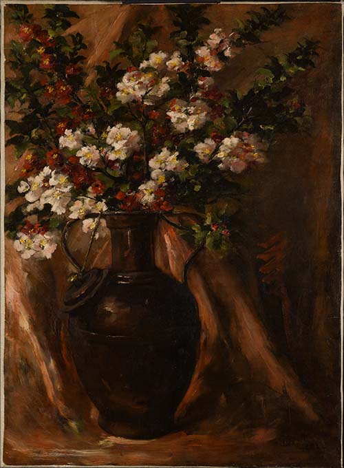 Behind the Scenes in Conservation: Conservation at your fingertips ...