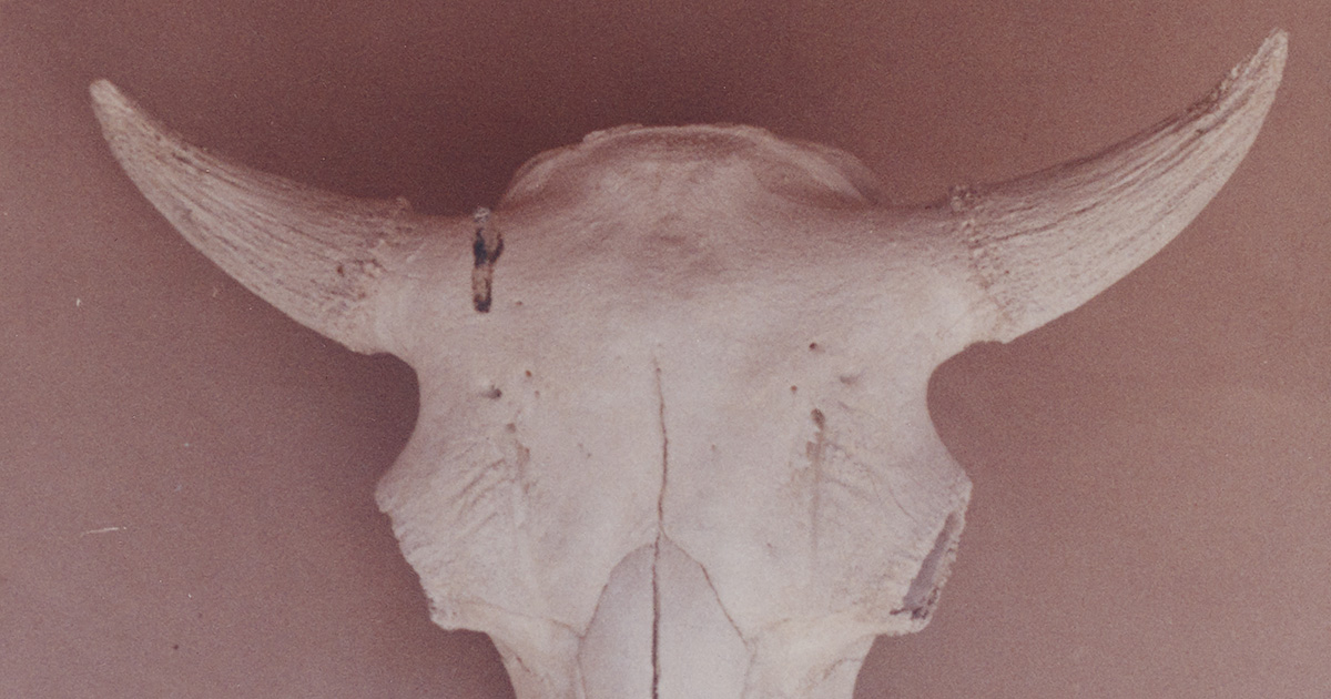 Skull, Ghost Ranch - Georgia O'Keeffe Audio Exhibition - Cincinnati Art ...