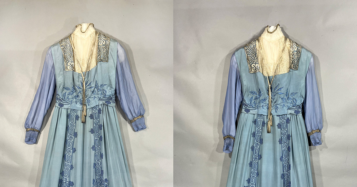 Behind the Scenes in Conservation: Blue Dress Boogaloo? - Cincinnati ...